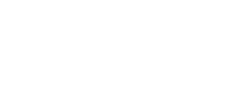 Mario and Son - Well Dressed Walrus